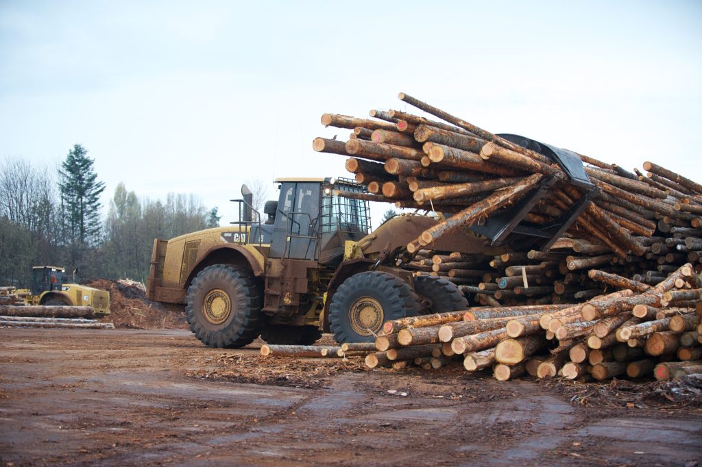 Log Sorting Services | Coastland Wood Industries